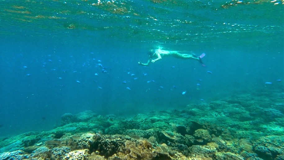 Holiday in Samoa - Top 10 things to do in Samoa, Upolu — Estralians