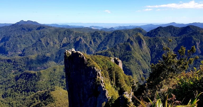 Hiking The Pinnacles in Coromandel, New Zealand — Estralians